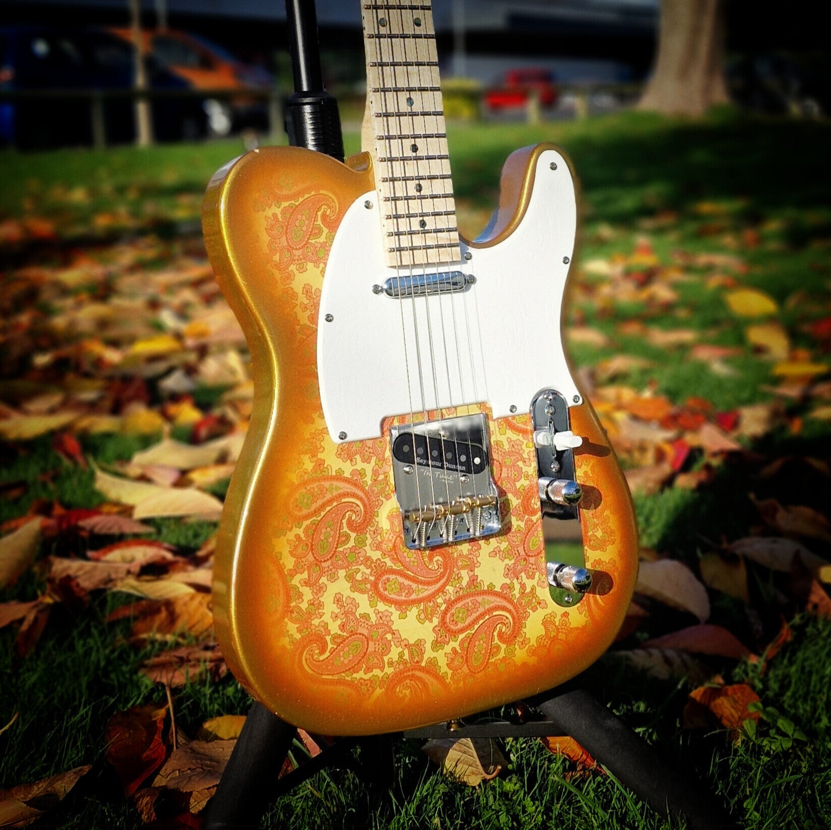 Moore Guitars Timothy; Pink/Gold Paisley #013 | Bonners Music