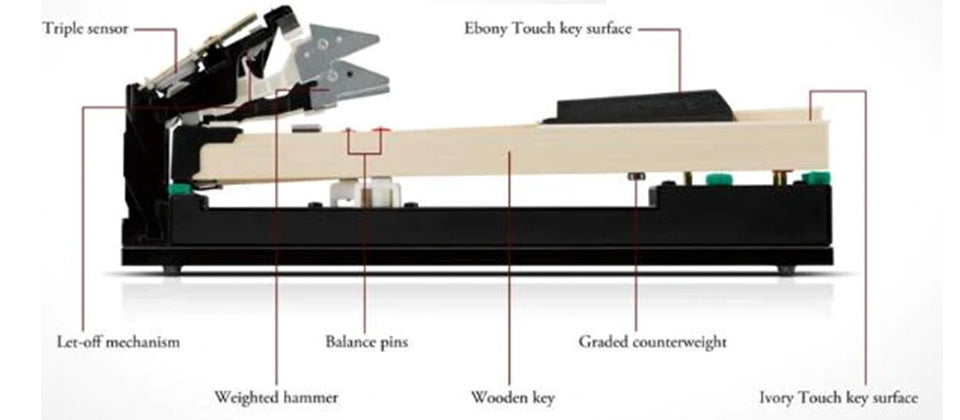 Kawai CA701 and CA901 Comparison | Bonners Music